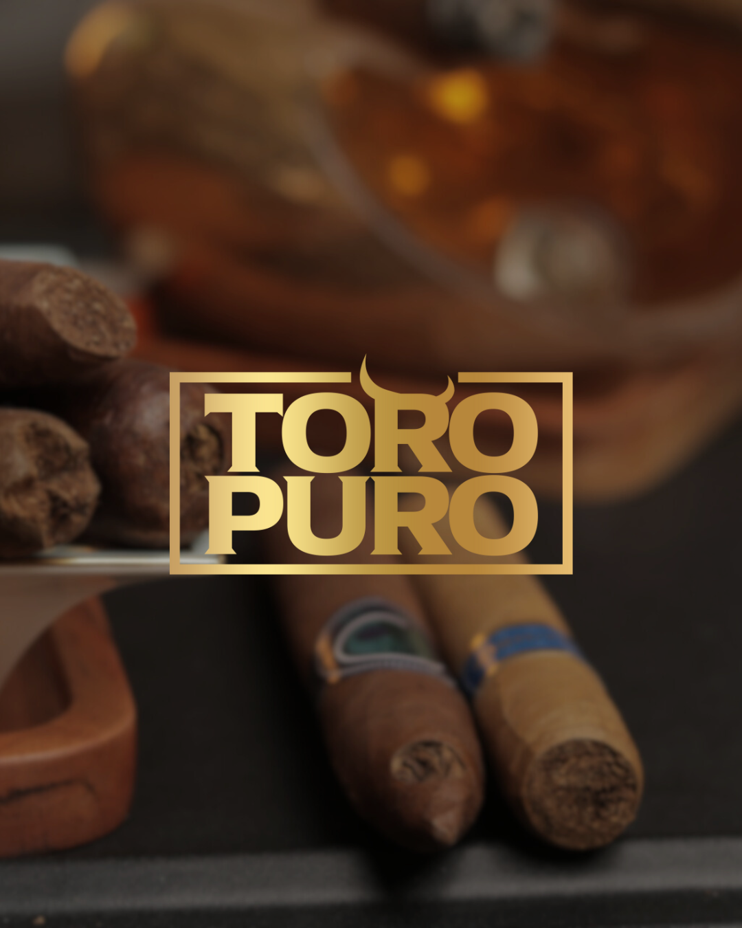 About Us – Toro Puro Ltd